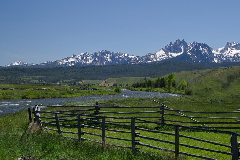 Home - Whitehead's Landscaping